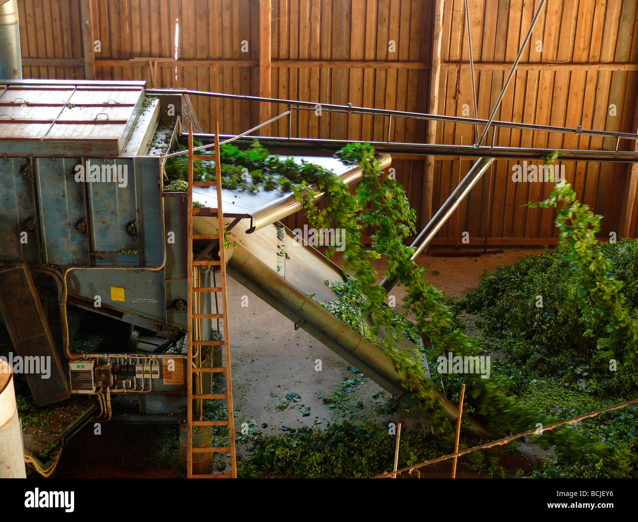 Hops picking machine Bavaria Germany humulus lupulus Stock Photo - Alamy