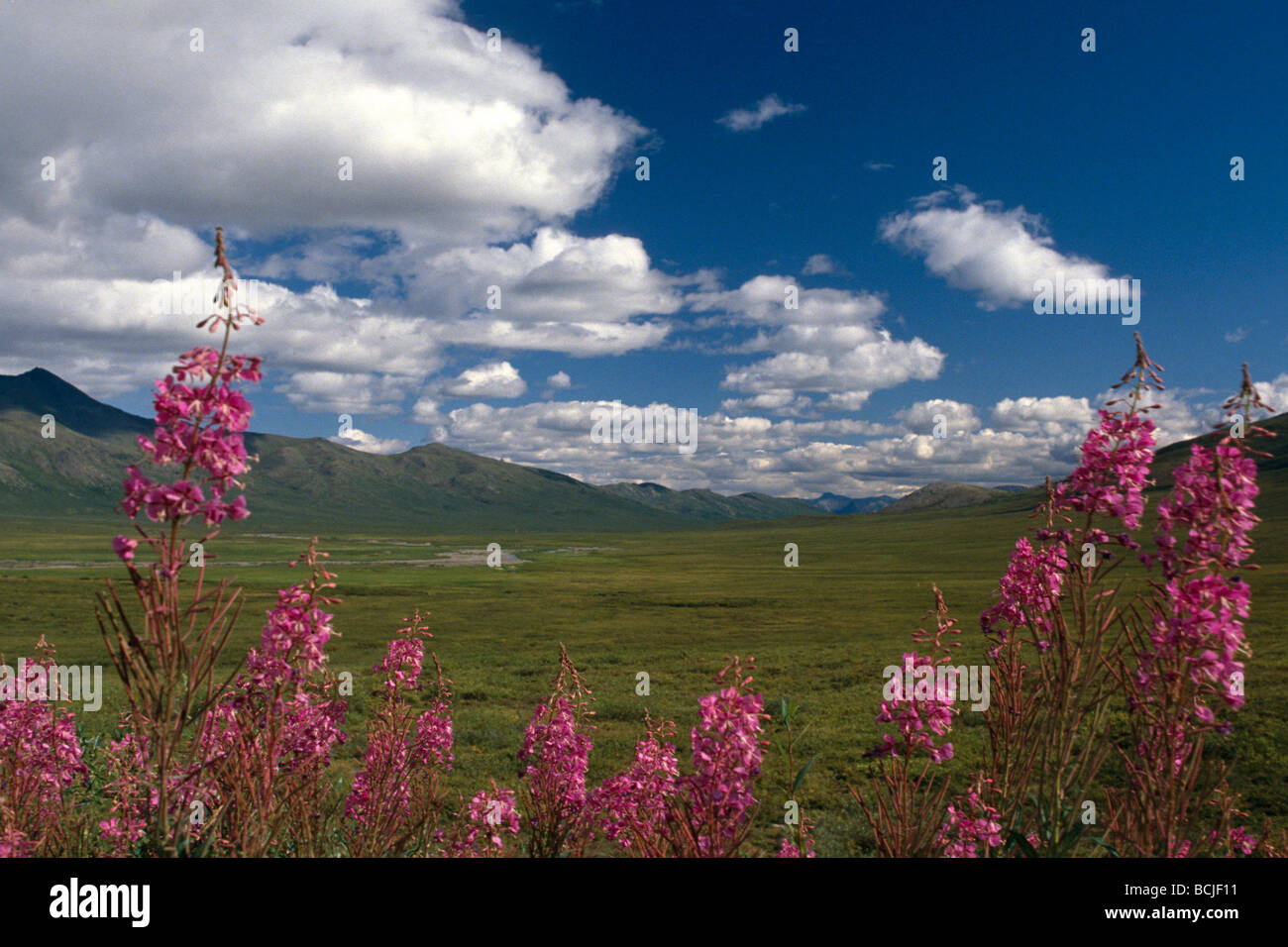 Atigun pass hi-res stock photography and images - Alamy