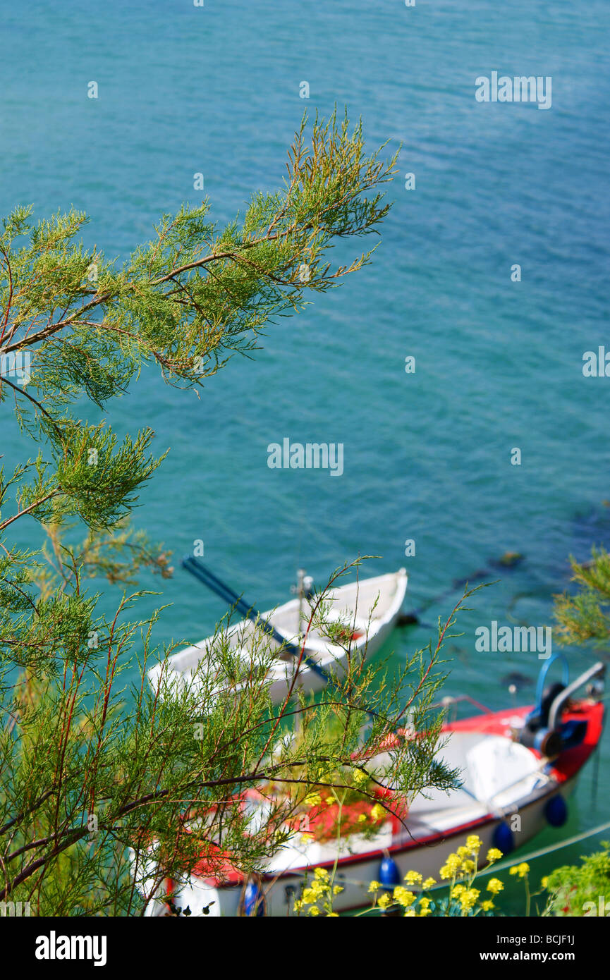 Colourful row-boat on blue water with tree in focus in foreground Stock ...