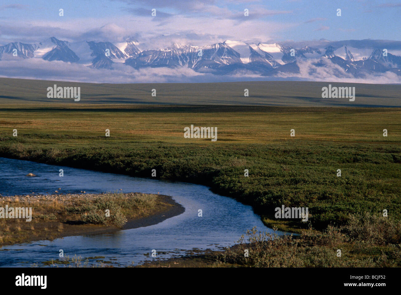 Anwr Coastal Plain