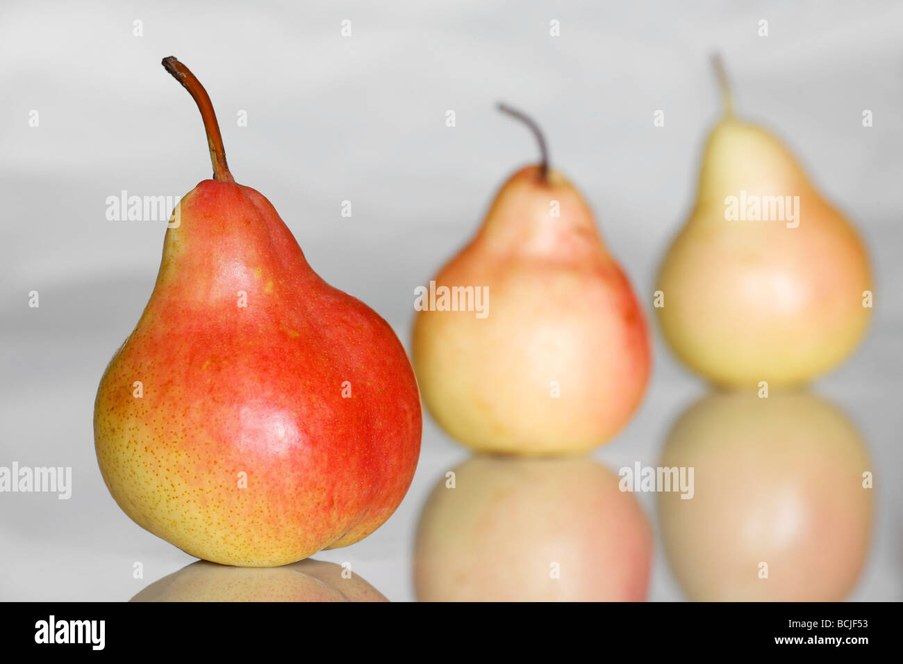 three pears, Williams Christ pears, closeup Stock Photo - Alamy