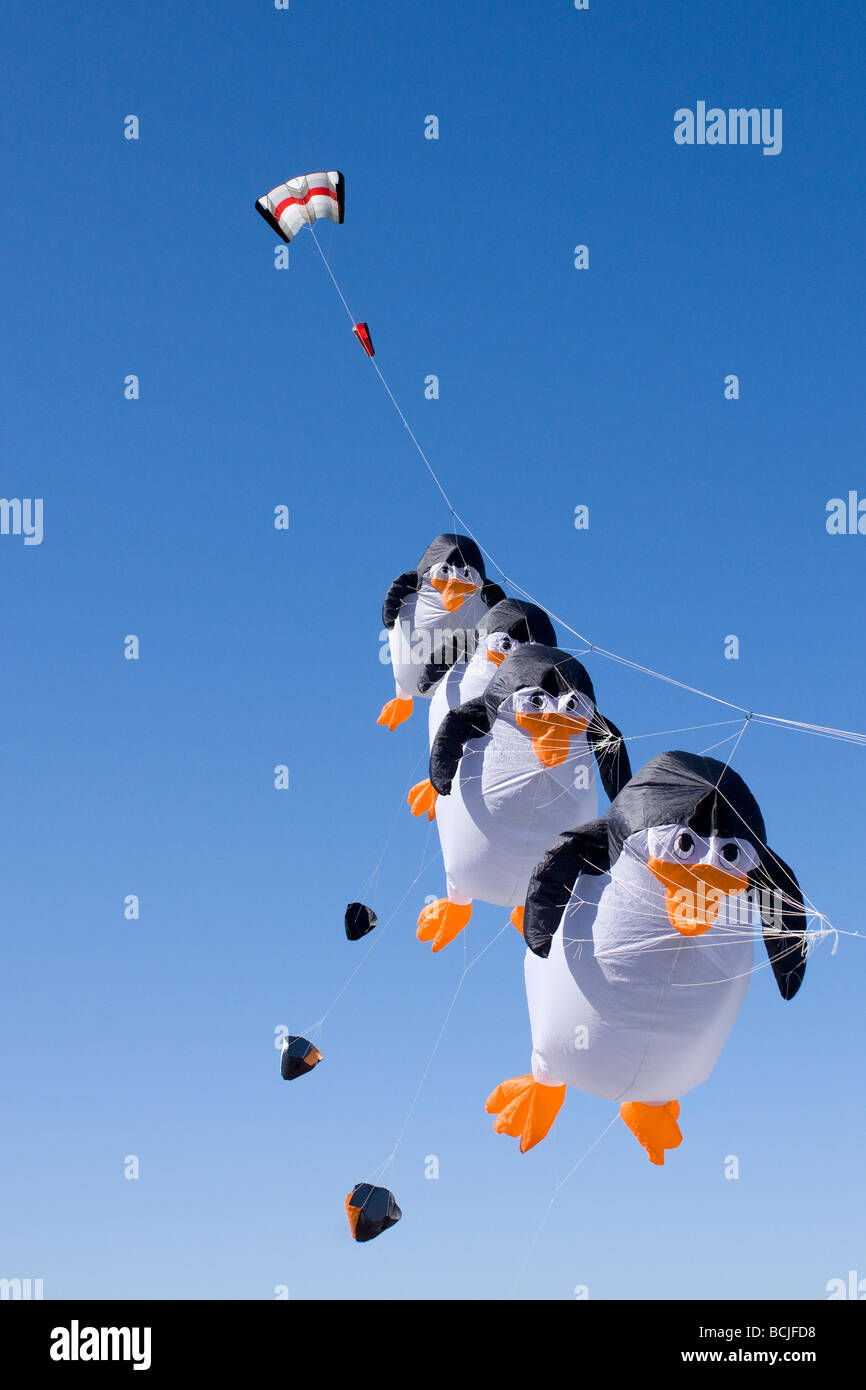 Flying penguin hi-res stock photography and images - Alamy