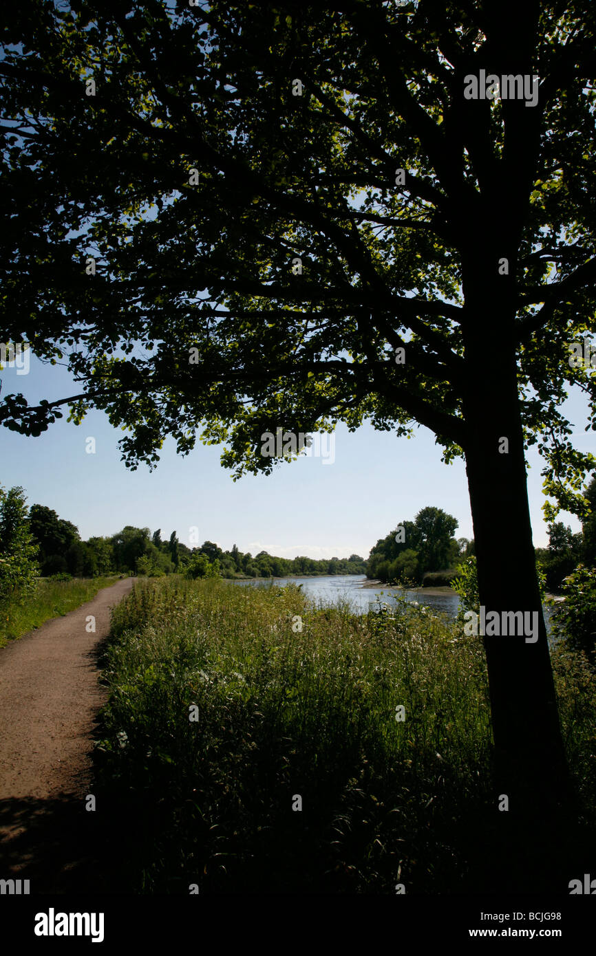 Thames path river kew london hi-res stock photography and images - Alamy