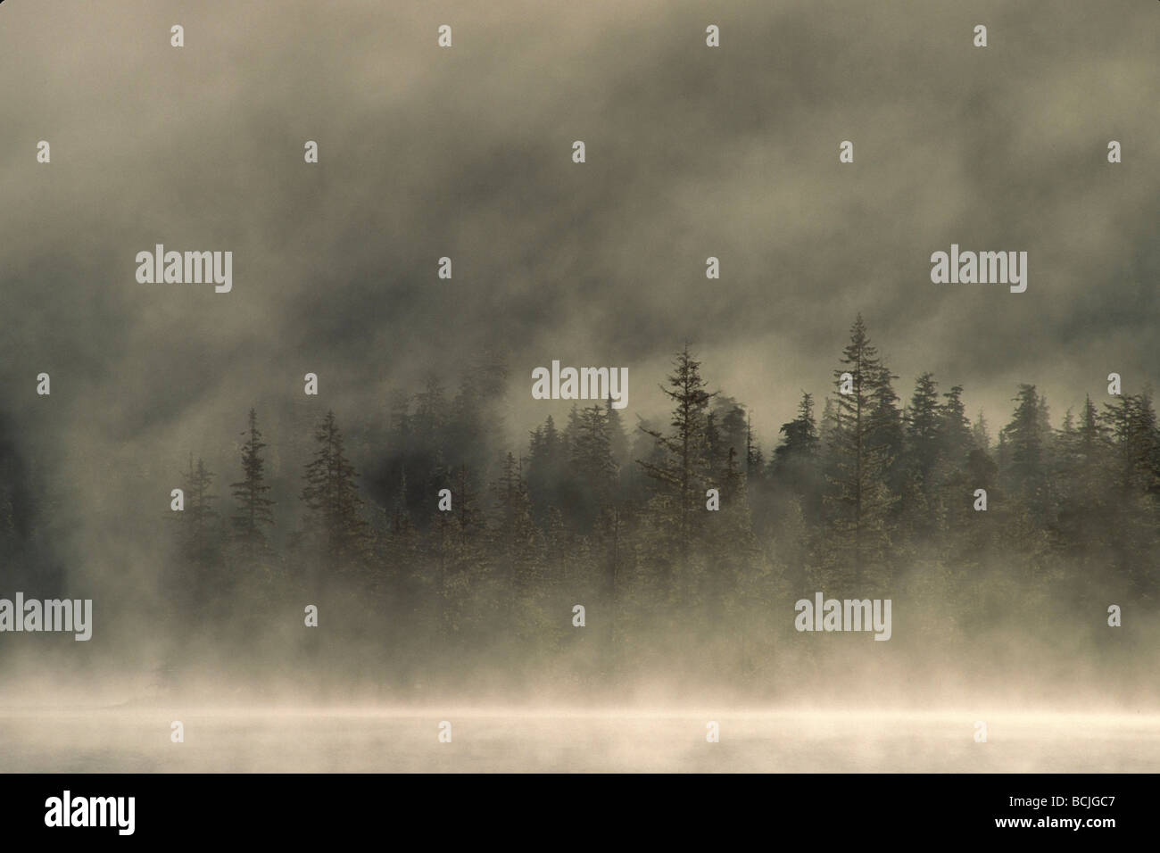 Fog on Lake Florence Treeline Admiralty Island Summer SE Alaska Stock ...
