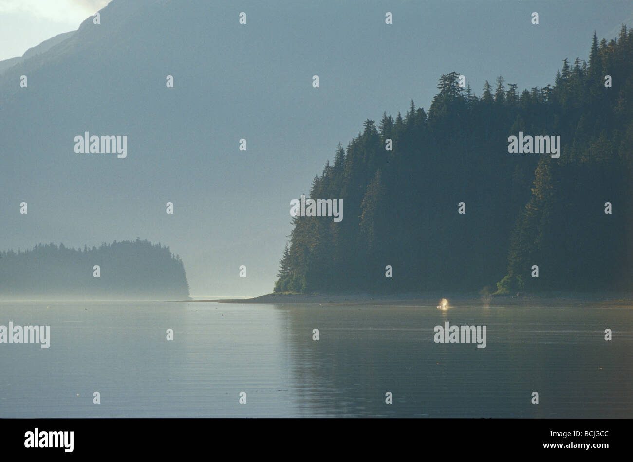 Chatham strait landscape hi-res stock photography and images - Alamy