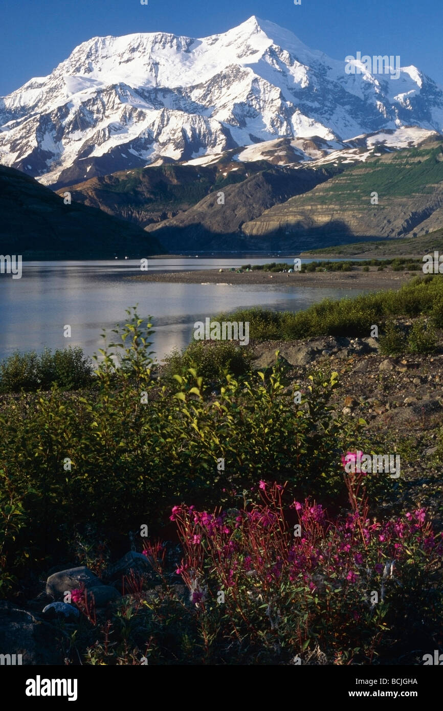Mt St Elias In Wrangell St Elias NP SE AK Summer Stock Photo - Alamy