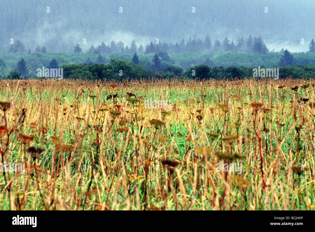 Unuk river hi-res stock photography and images - Alamy