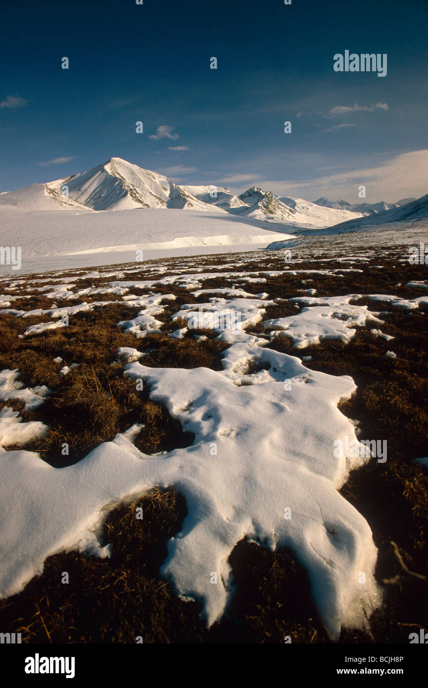 Melting tundra at alaska hi-res stock photography and images - Alamy