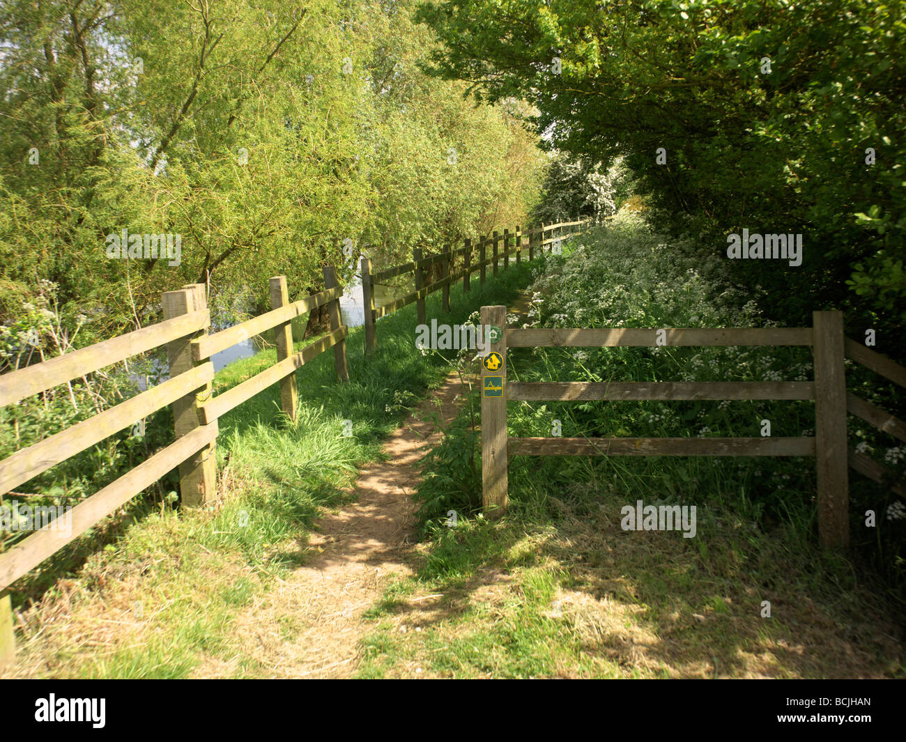 footpath along river avon Stock Photo - Alamy