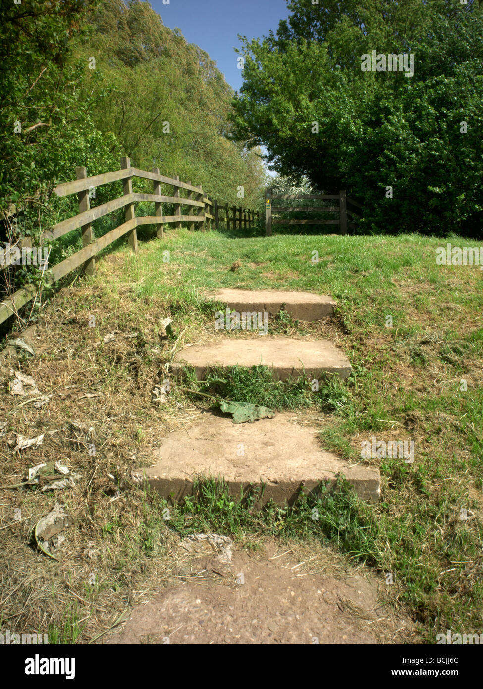 footpath along river avon Stock Photo - Alamy
