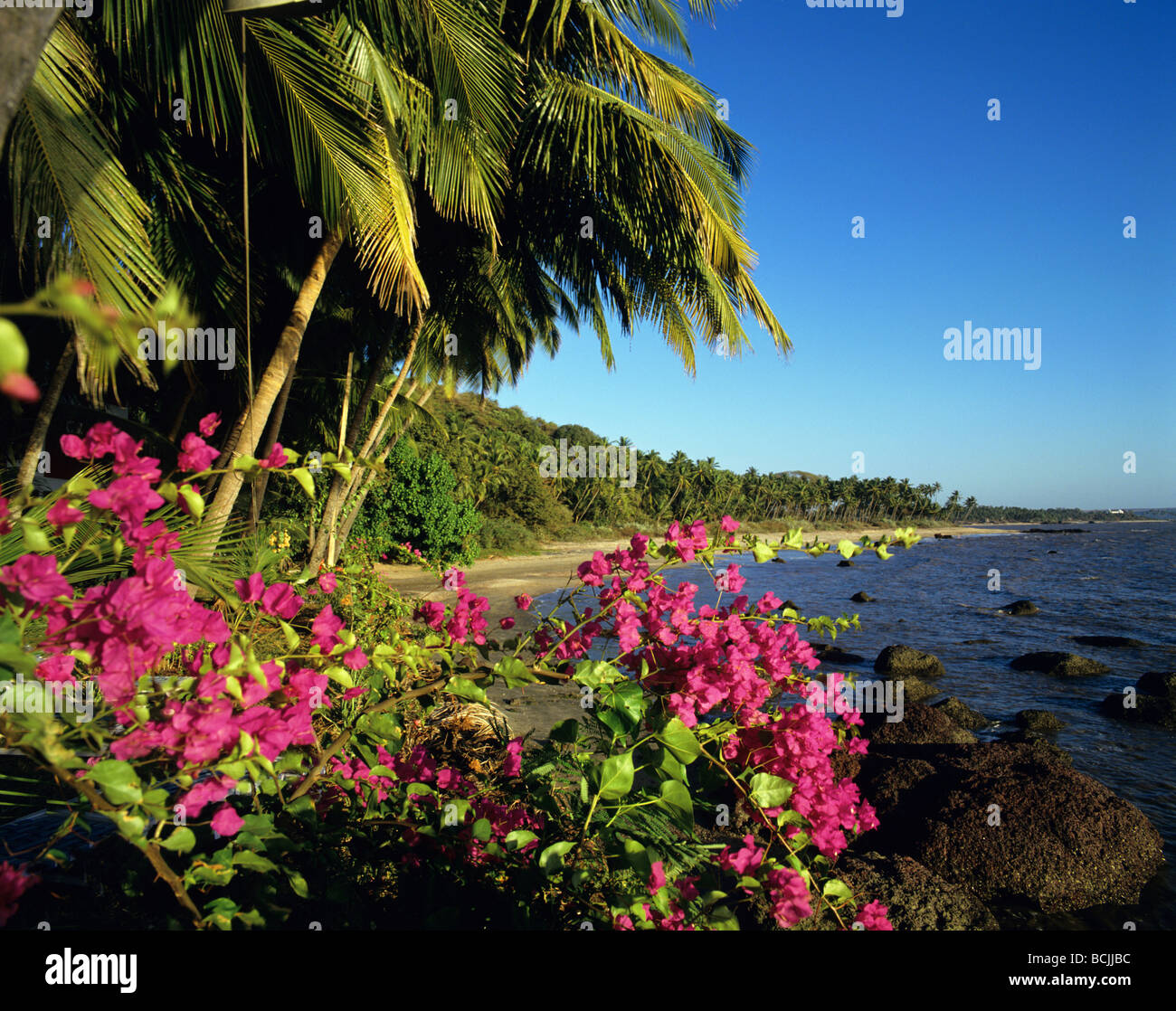Goan resort hi-res stock photography and images - Alamy