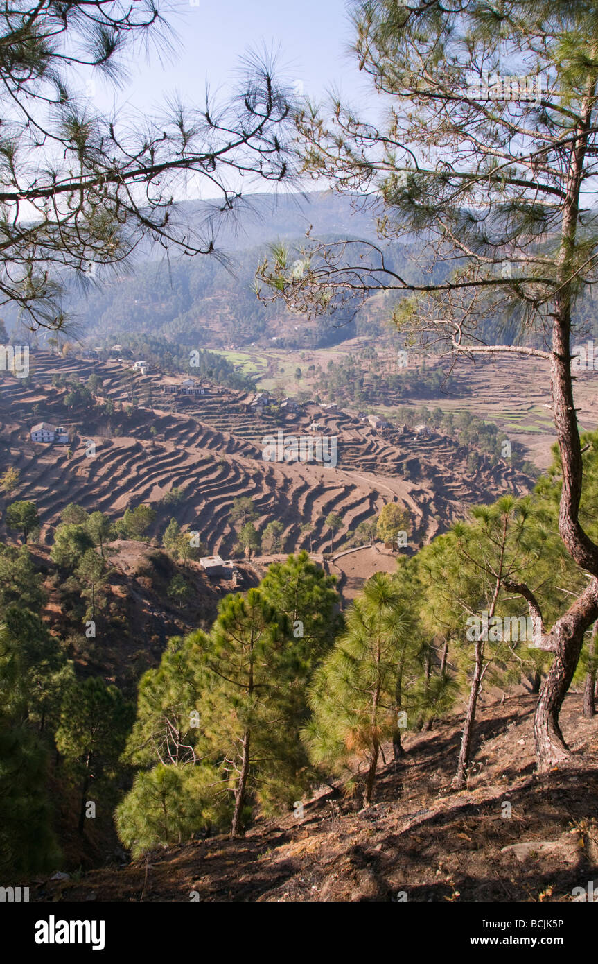 Kumaon Family High Resolution Stock Photography and Images - Alamy