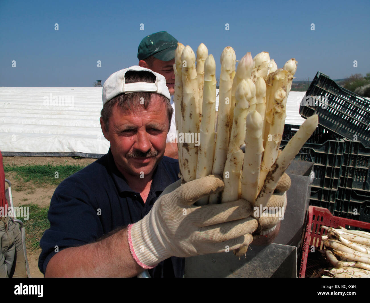 Foreign agriculture hi-res stock photography and images - Alamy