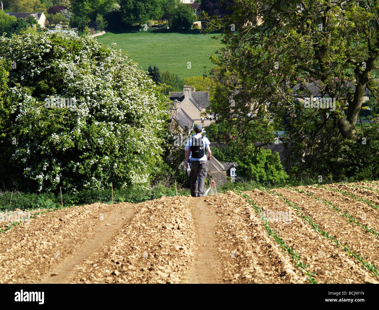 agriculture and farming in the english countryside Stock Photo - Alamy