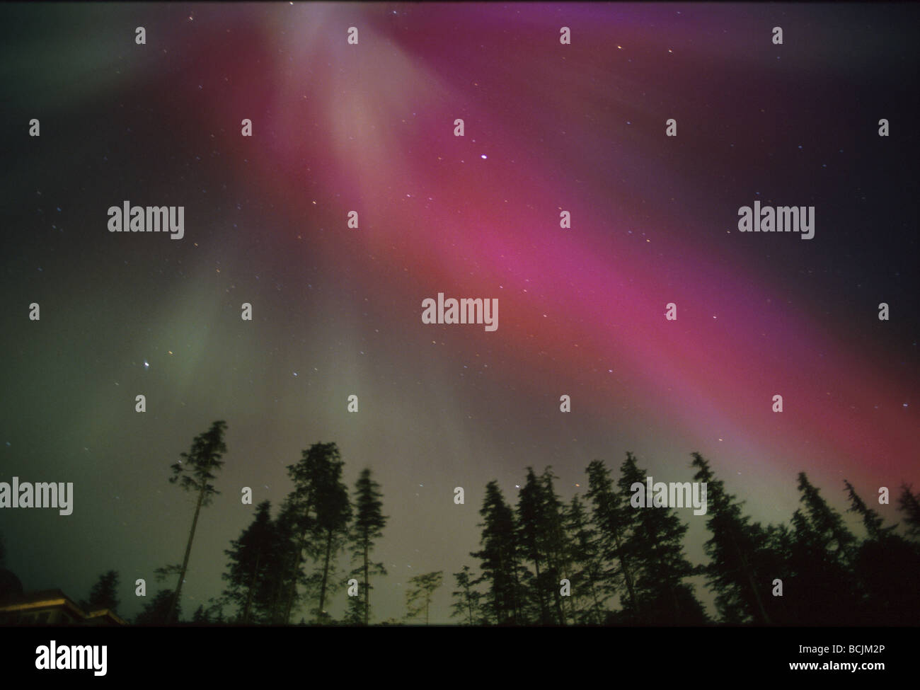 Red Northern Lights AK Aurora Borealis trees silhouetted Stock Photo ...