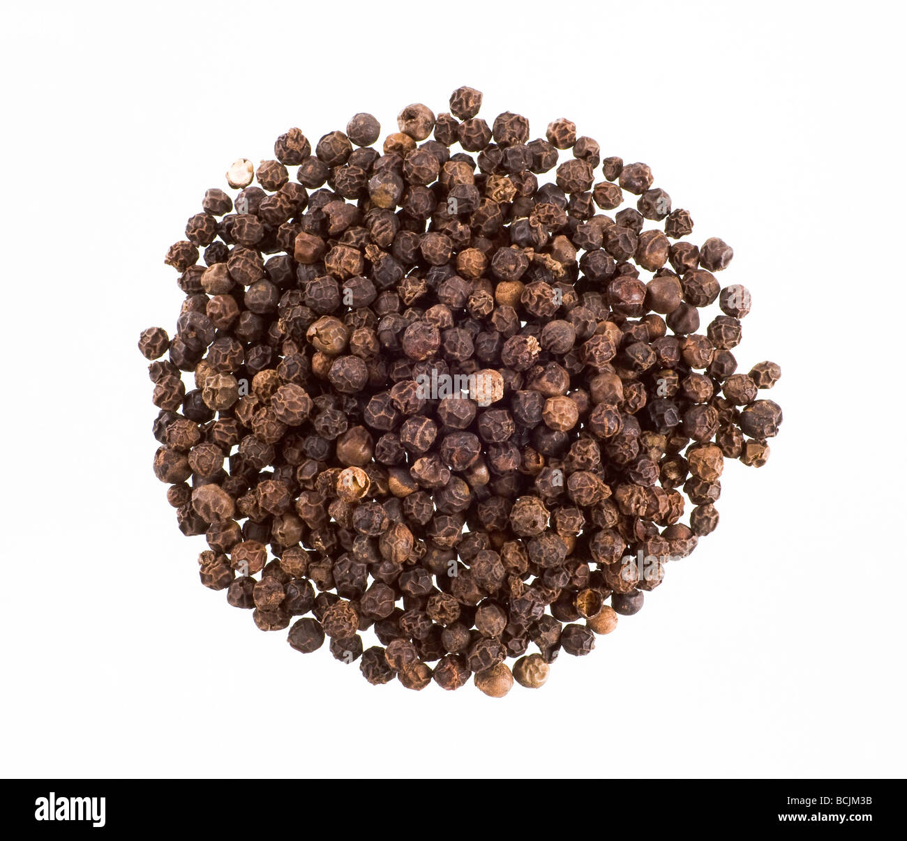 Black pepper berries Cut Out Stock Images & Pictures - Alamy