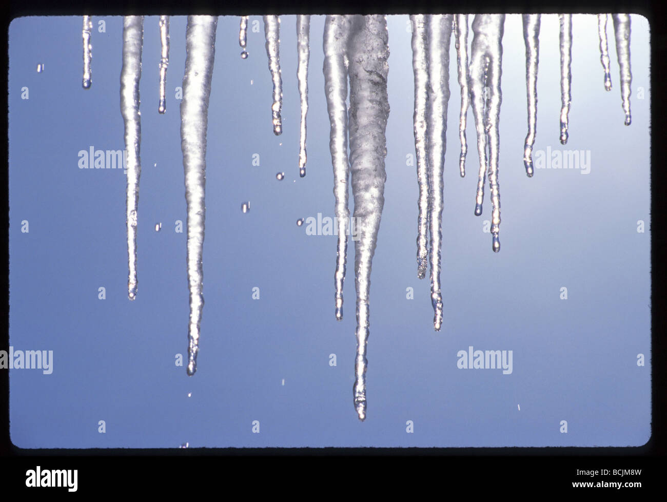 Ice drips hi-res stock photography and images - Alamy
