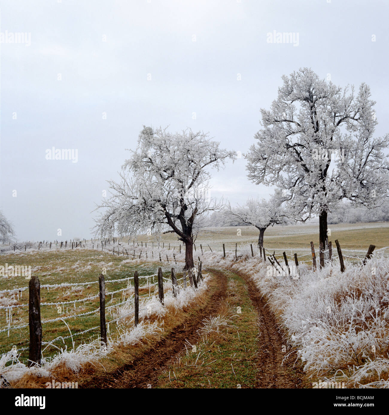 Ice winter germany hi-res stock photography and images - Alamy