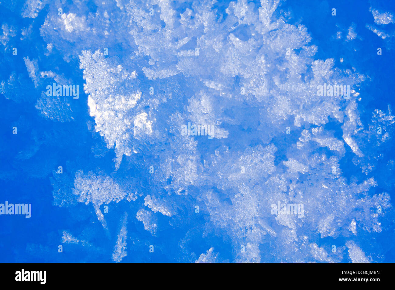Frost Crystal Formation High Resolution Stock Photography and Images ...