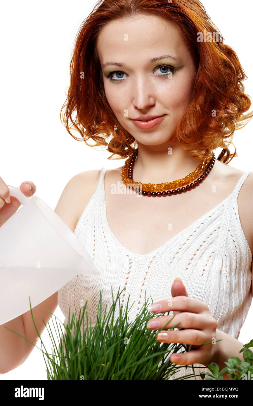 Chive Plant High Resolution Stock Photography and Images - Alamy