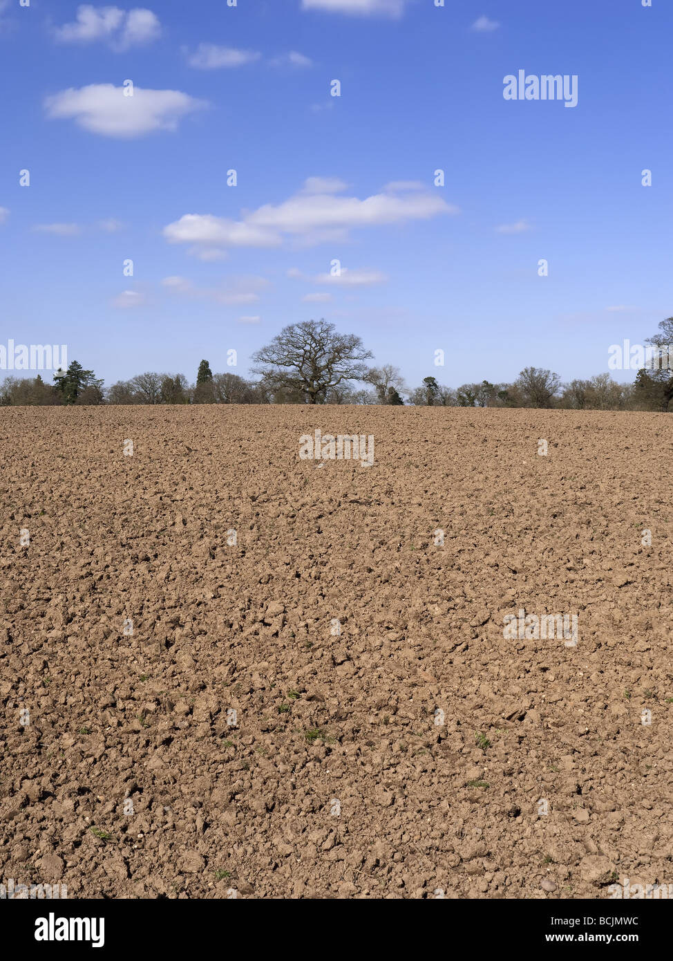 farmland clouds trees ploughed earth soil agriculture Stock Photo - Alamy