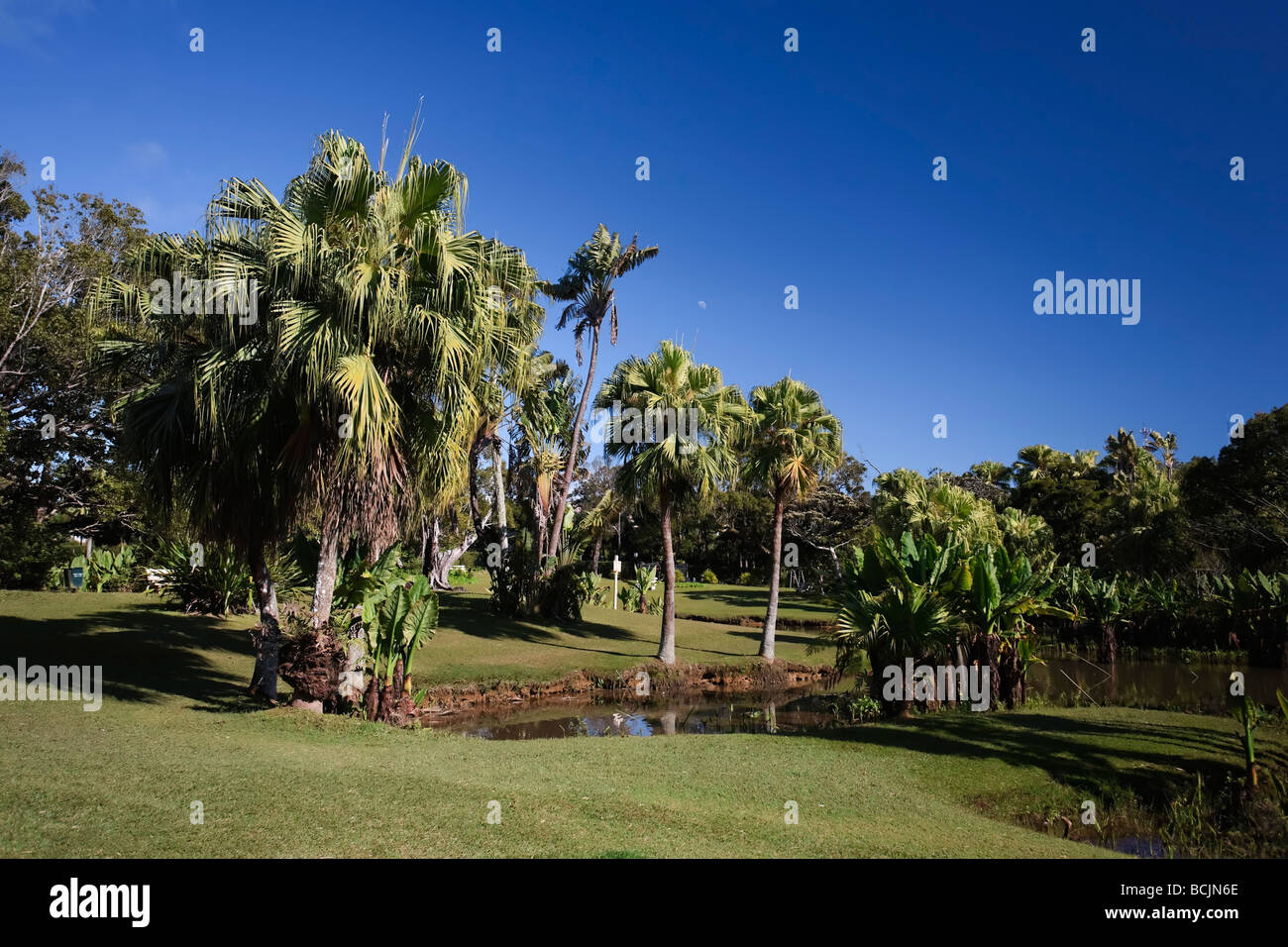 Curepipe High Resolution Stock Photography and Images - Alamy