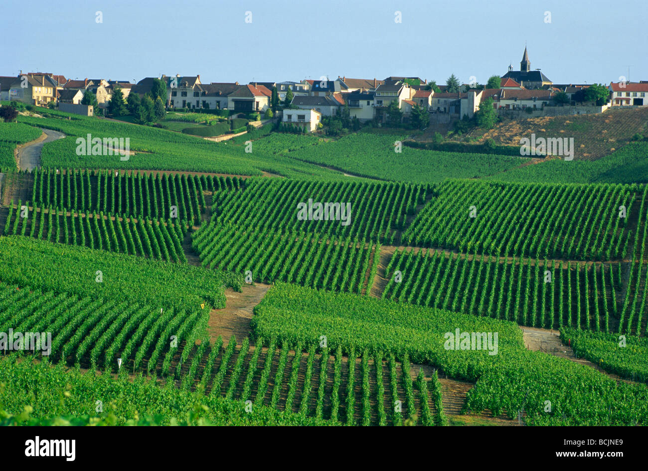 Cramant hi-res stock photography and images - Alamy