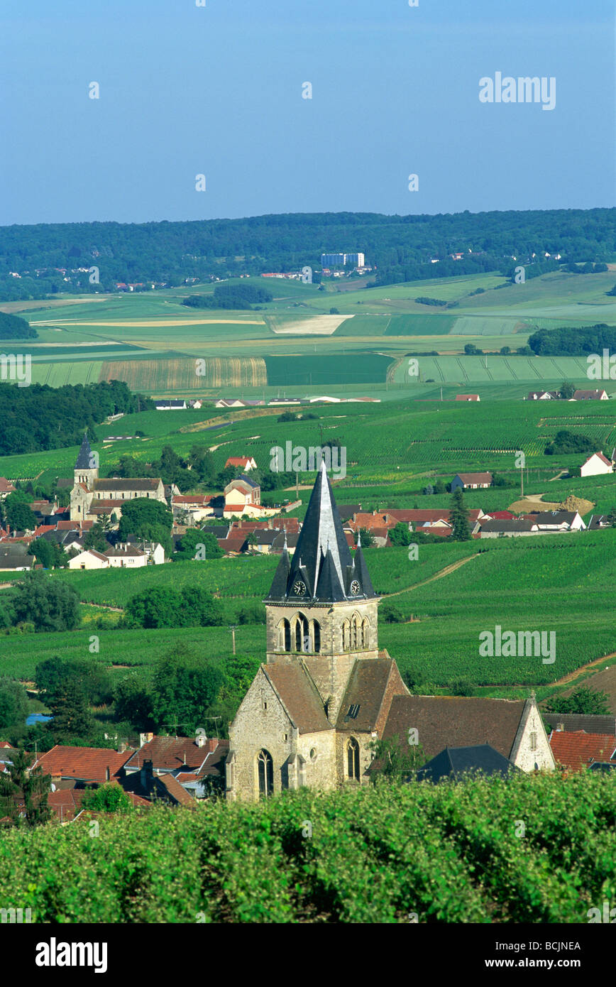 Reims vineyards hi-res stock photography and images - Alamy