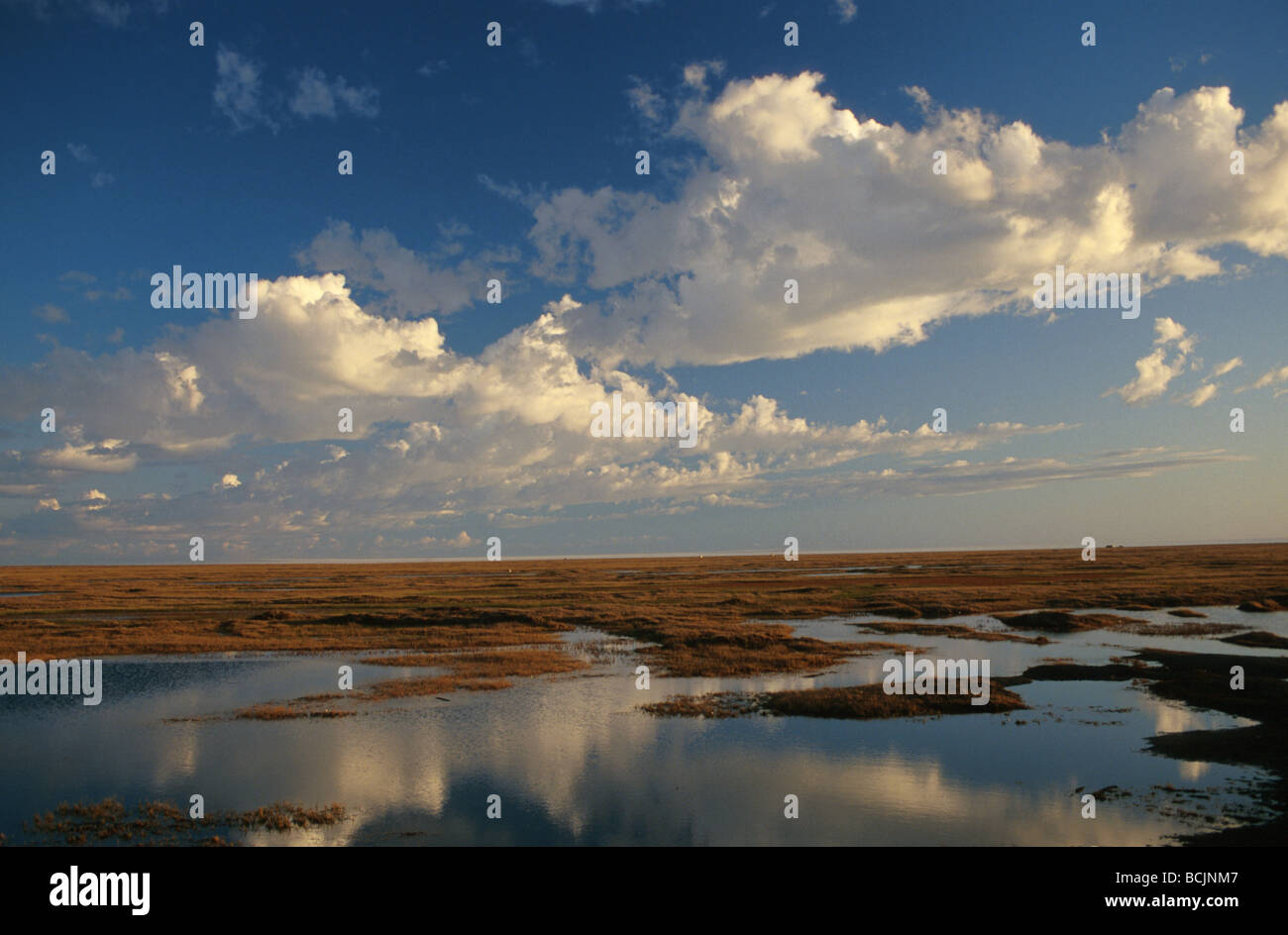 Clouds Wetlands Arctic Slope Arctic Summer Alaska Stock Photo - Alamy