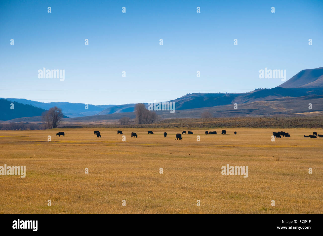 Colorado hi-res stock photography and images - Alamy