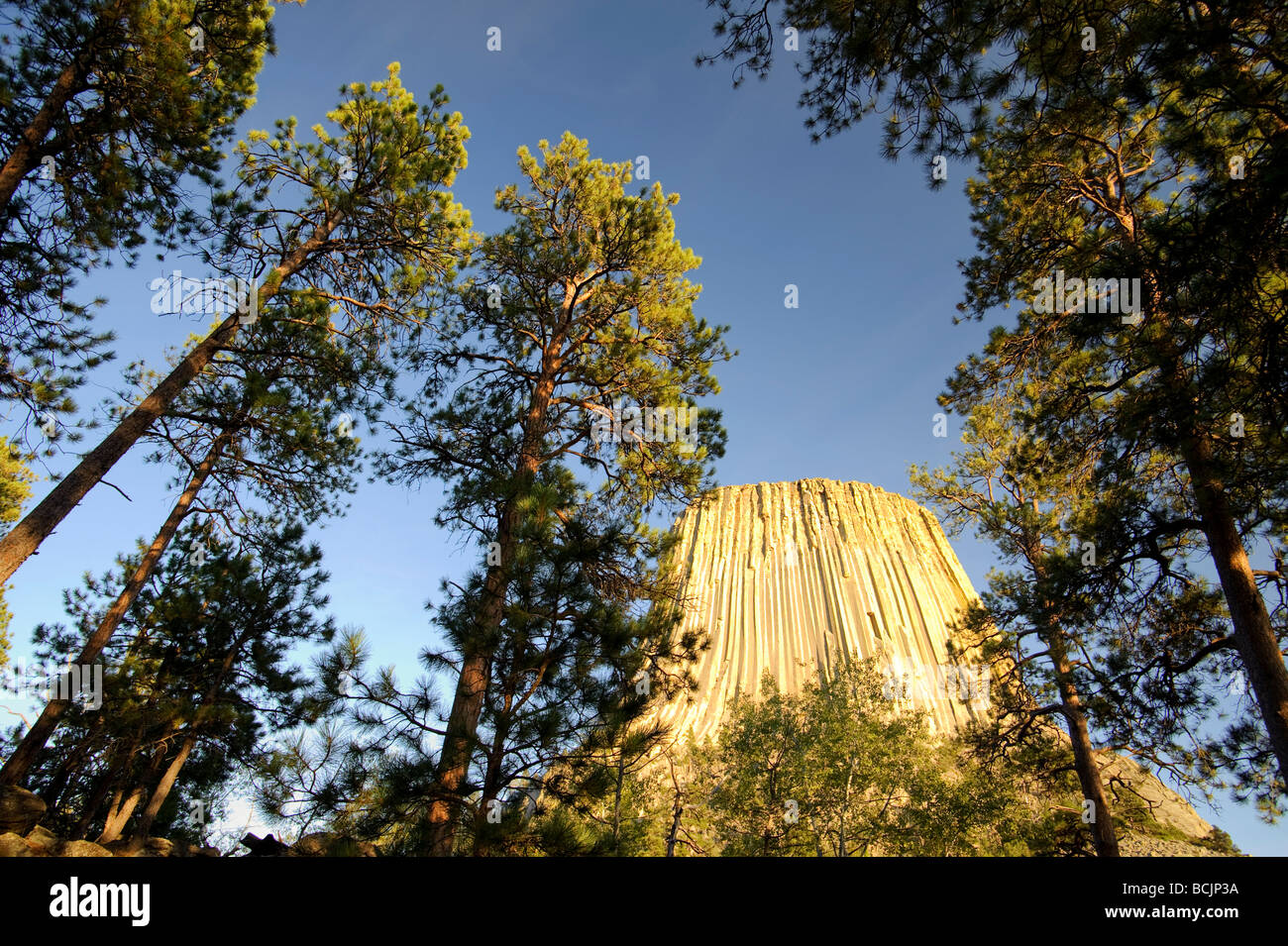 American devils tower devils tower travel hi-res stock photography and ...