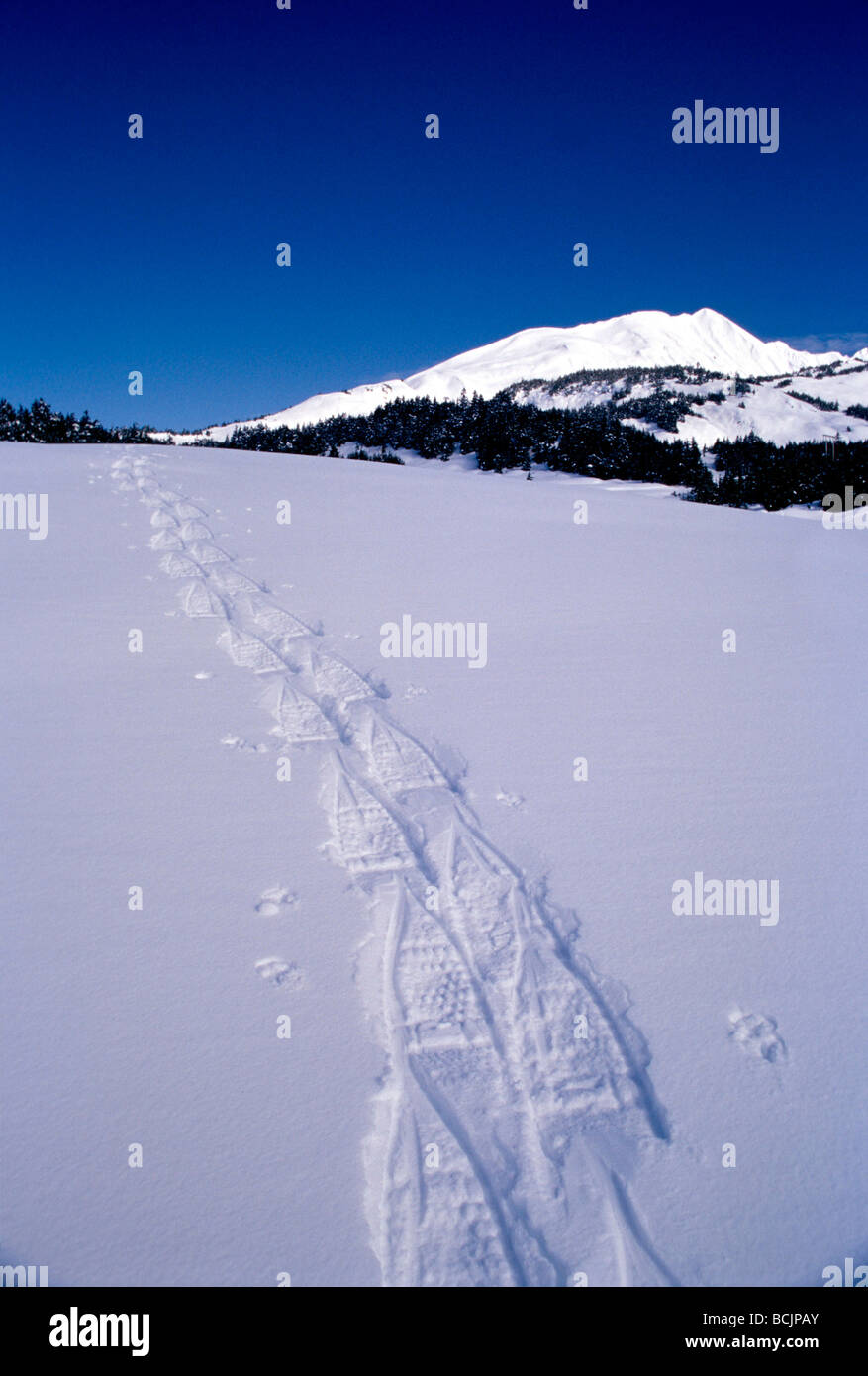 Snowshoe Tracks Across Winter Landscape Turnagain Pass AK Stock Photo ...
