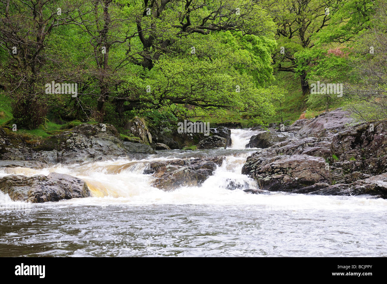 Confluence of The River Tywi and The Doethie Rhandirmwyn Llandovery ...
