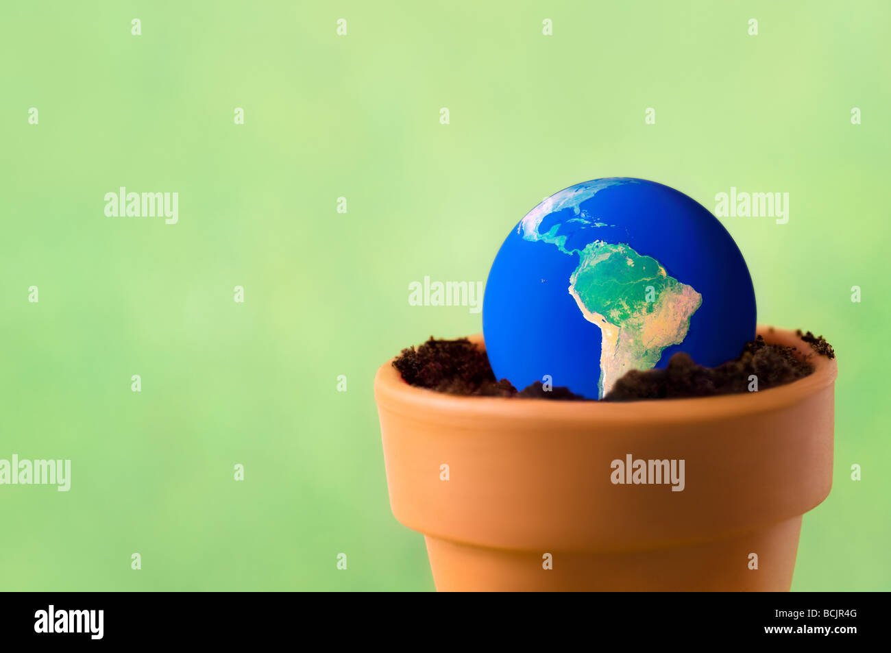 Planet earth in a flower pot Stock Photo - Alamy