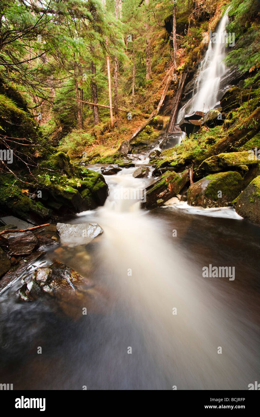 Wrangell island hi-res stock photography and images - Alamy