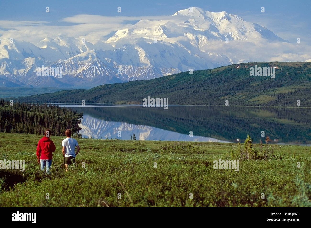 Viewing Mt McKinley & Wonder Lake Denali NP Interior Ak Stock Photo - Alamy