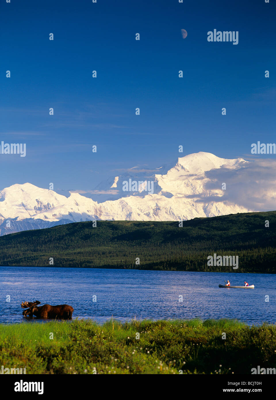 Mt mckinley from wonder lake hi-res stock photography and images - Alamy