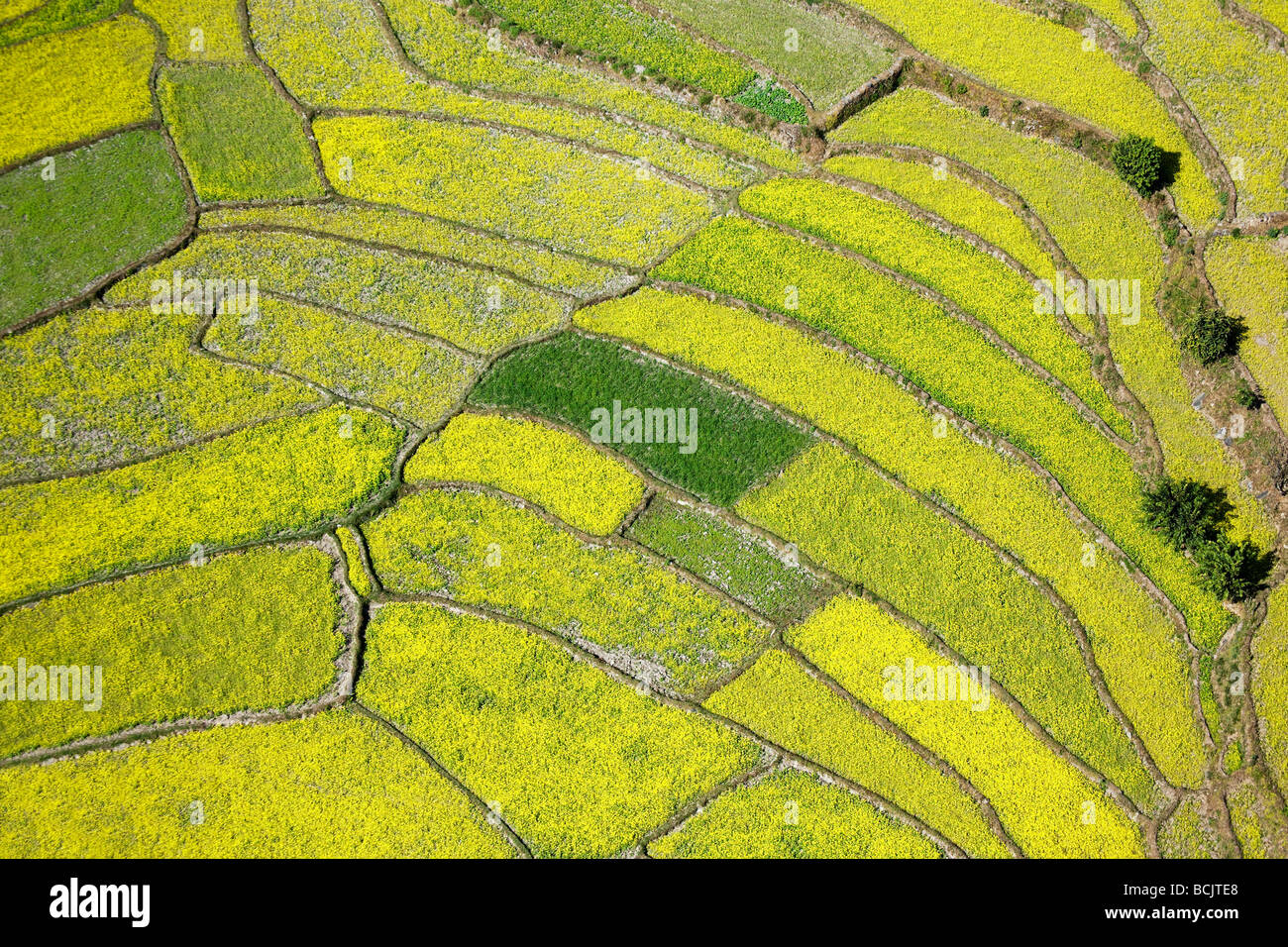 Aerial view of fields Stock Photo - Alamy