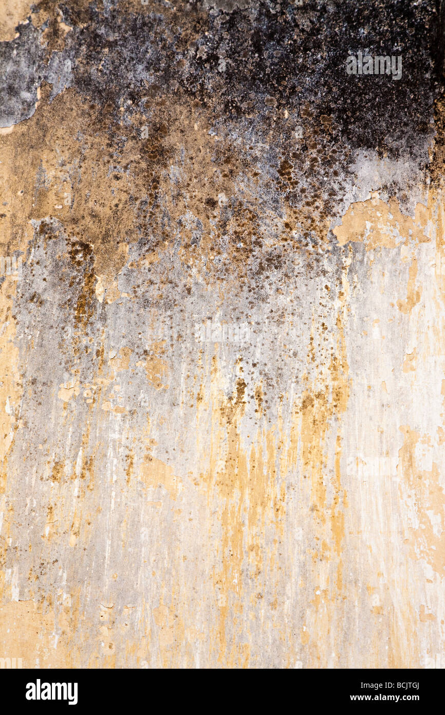 A weathered wall Stock Photo - Alamy