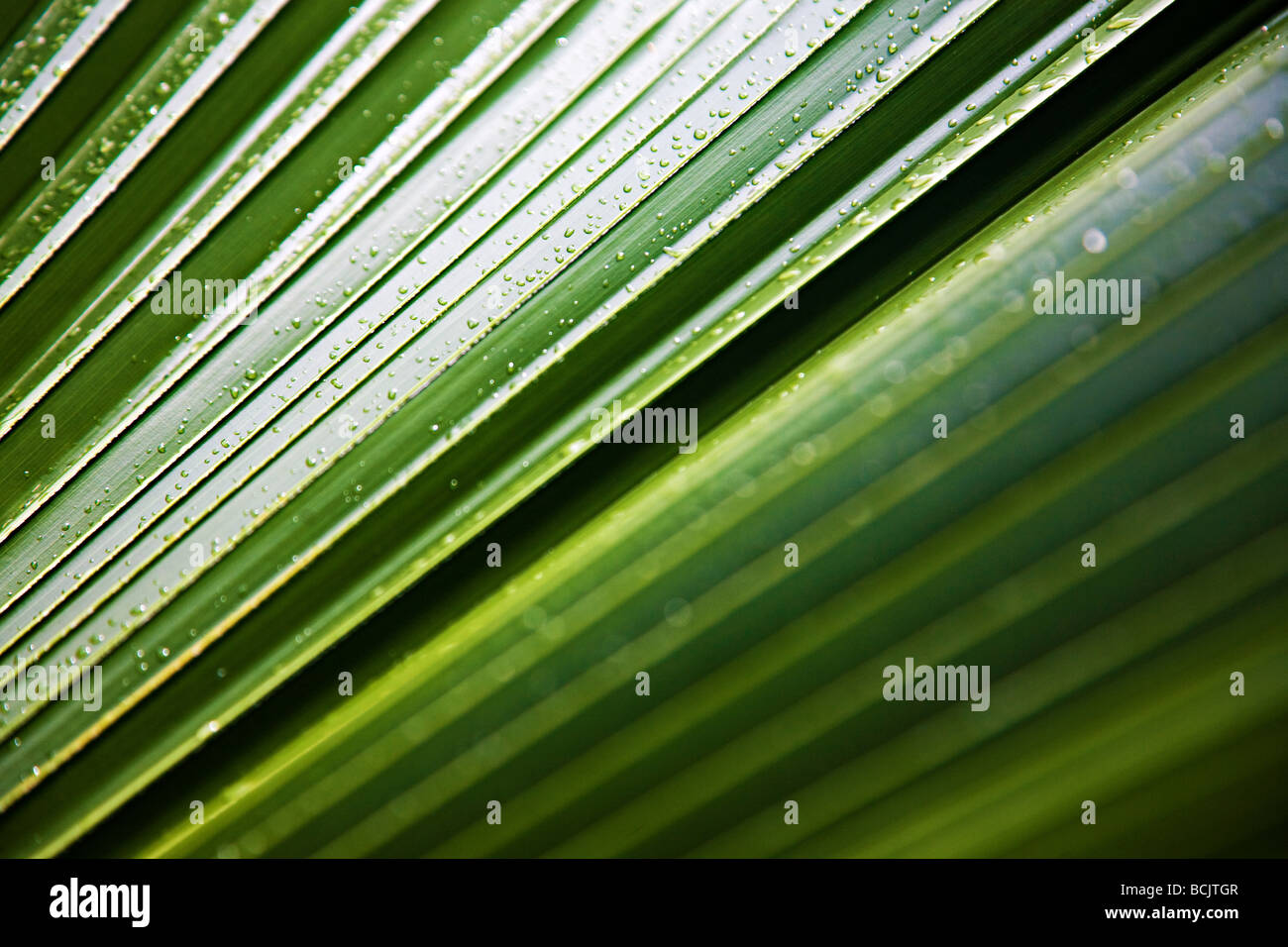 Water droplet hi-res stock photography and images - Alamy