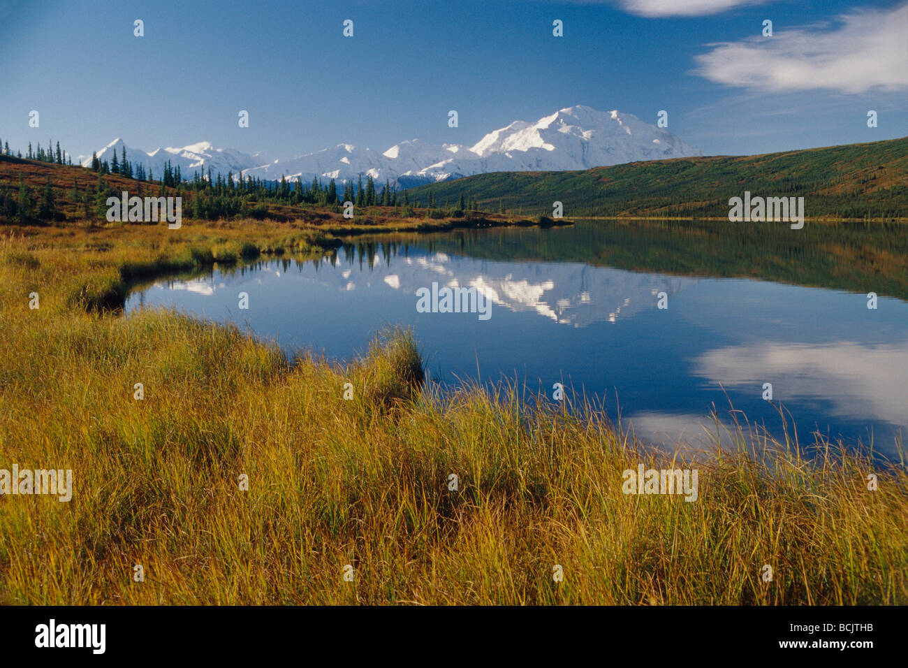 Mt Mckinley & AK Range Reflected in Wonder Lake AK IN Autumn Denali NP ...
