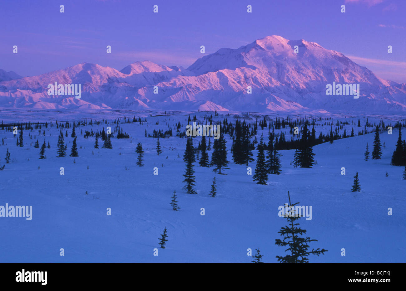 Mount McKinley Sunset Denali National Park Interior AK Winter Landscape ...