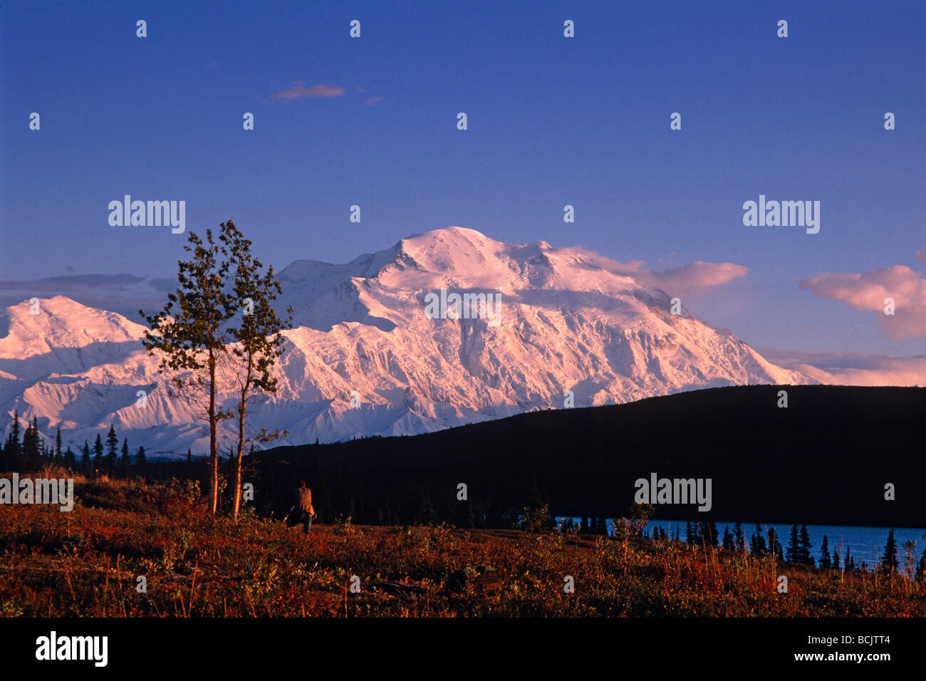 Alpenglow on Mt.Mckinley During Autumn Stock Photo - Alamy