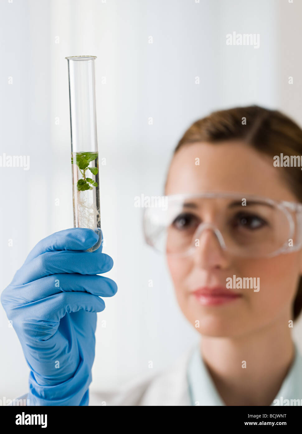 Female scientist holding a test tube Stock Photo - Alamy