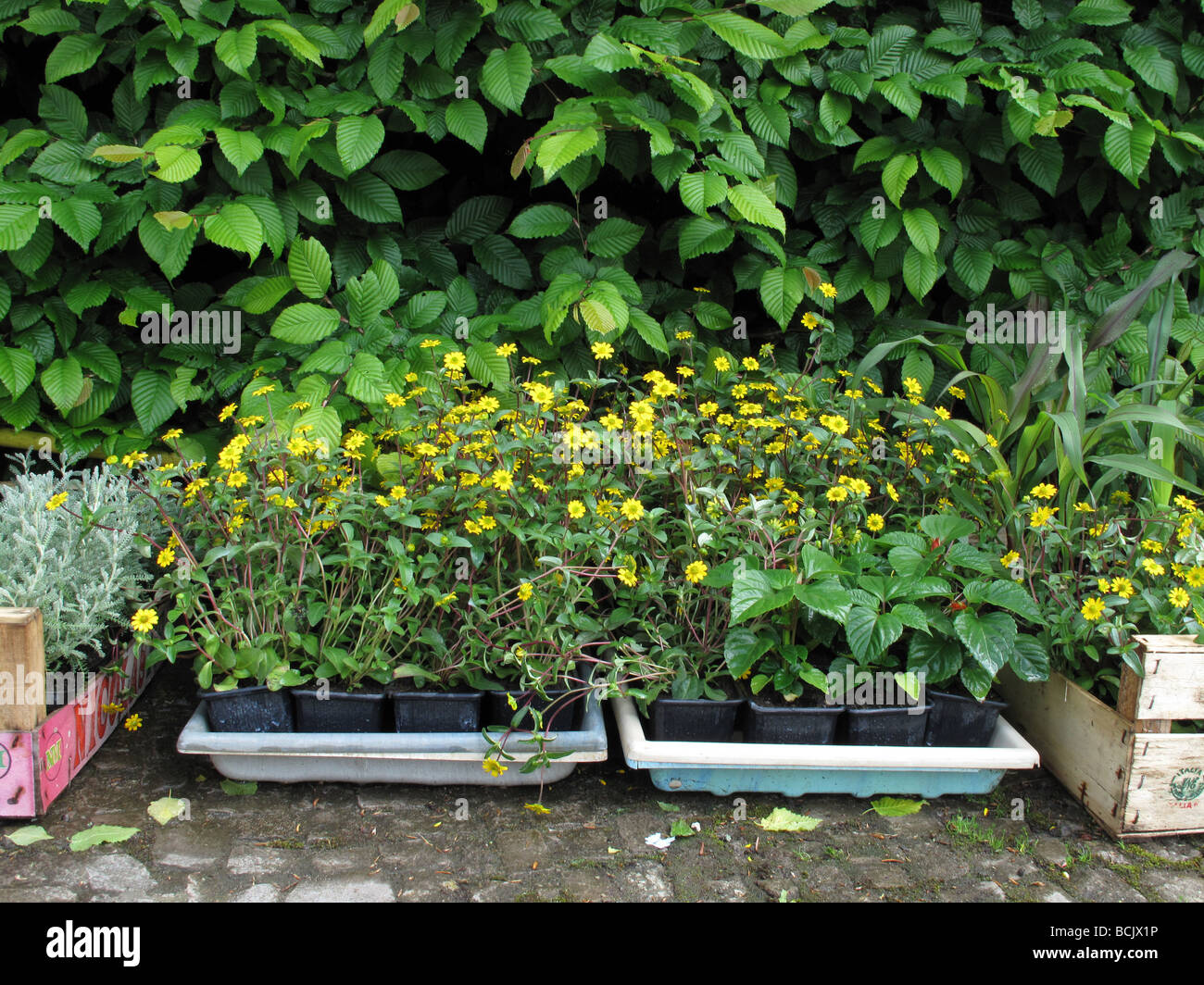 Empty boxes hi-res stock photography and images - Alamy