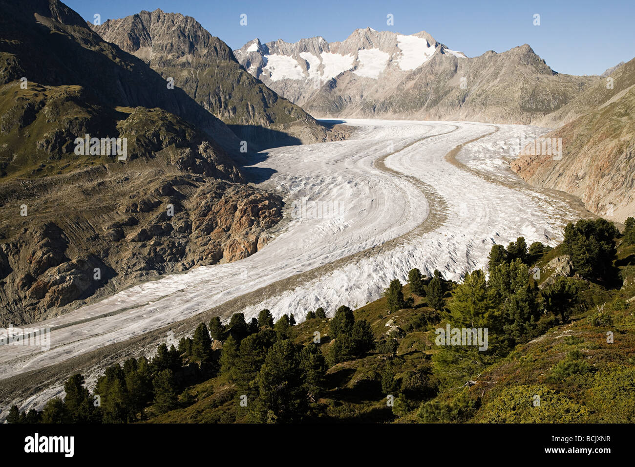 Aletsch glacier in switzerland Stock Photo - Alamy