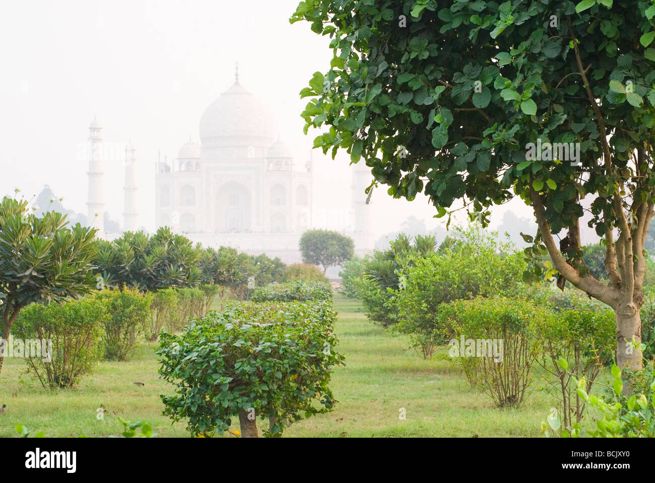 Mehtab Bagh (Moonlight Garden), across the Yamuna river from the famous ...