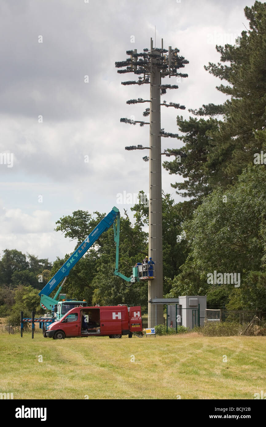 Workers Carrying Out Maintenance On A Mobile Phone Mast Disguised As A ...