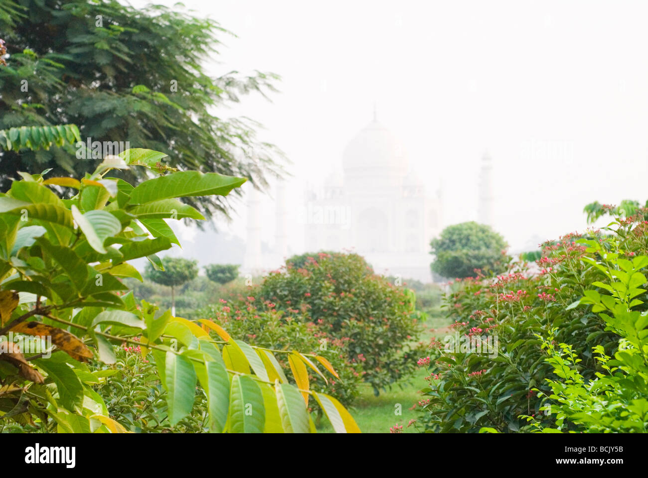 The beautiful Mehtab Bagh (Moonlight Garden), across the Yamuna river ...