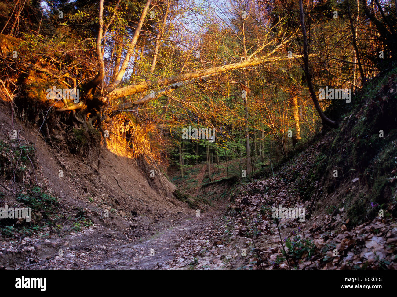 Southeastern poland hi-res stock photography and images - Alamy